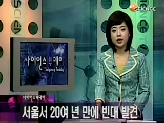 서울서 20여 년 만에 빈대 발견