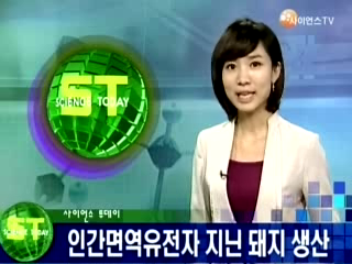 인간면역유전자 지닌 돼지 생산