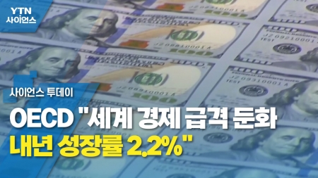 OECD "세계 경제 급격 둔화...내년 성장률 2.2%"