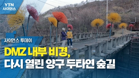 DMZ 내부 비경, 다시 열린 양구 두타연 숲길