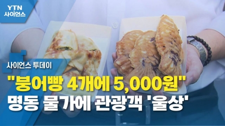 "붕어빵 4개에 5,000원"...명동 물가에 관광객 '울상'
