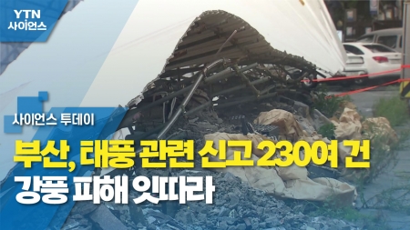 부산, 태풍 관련 신고 230여 건...강풍 피해 잇따라