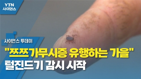 "쯔쯔가무시증 유행하는 가을"...털진드기 감시 시작